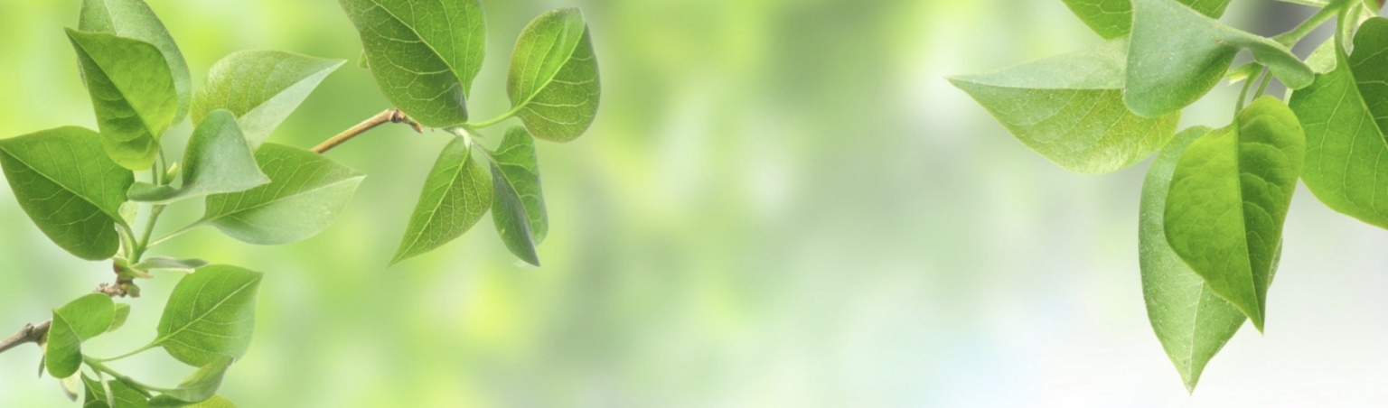 MultiHopping - ALDDIT - Middleware Knowledge Base